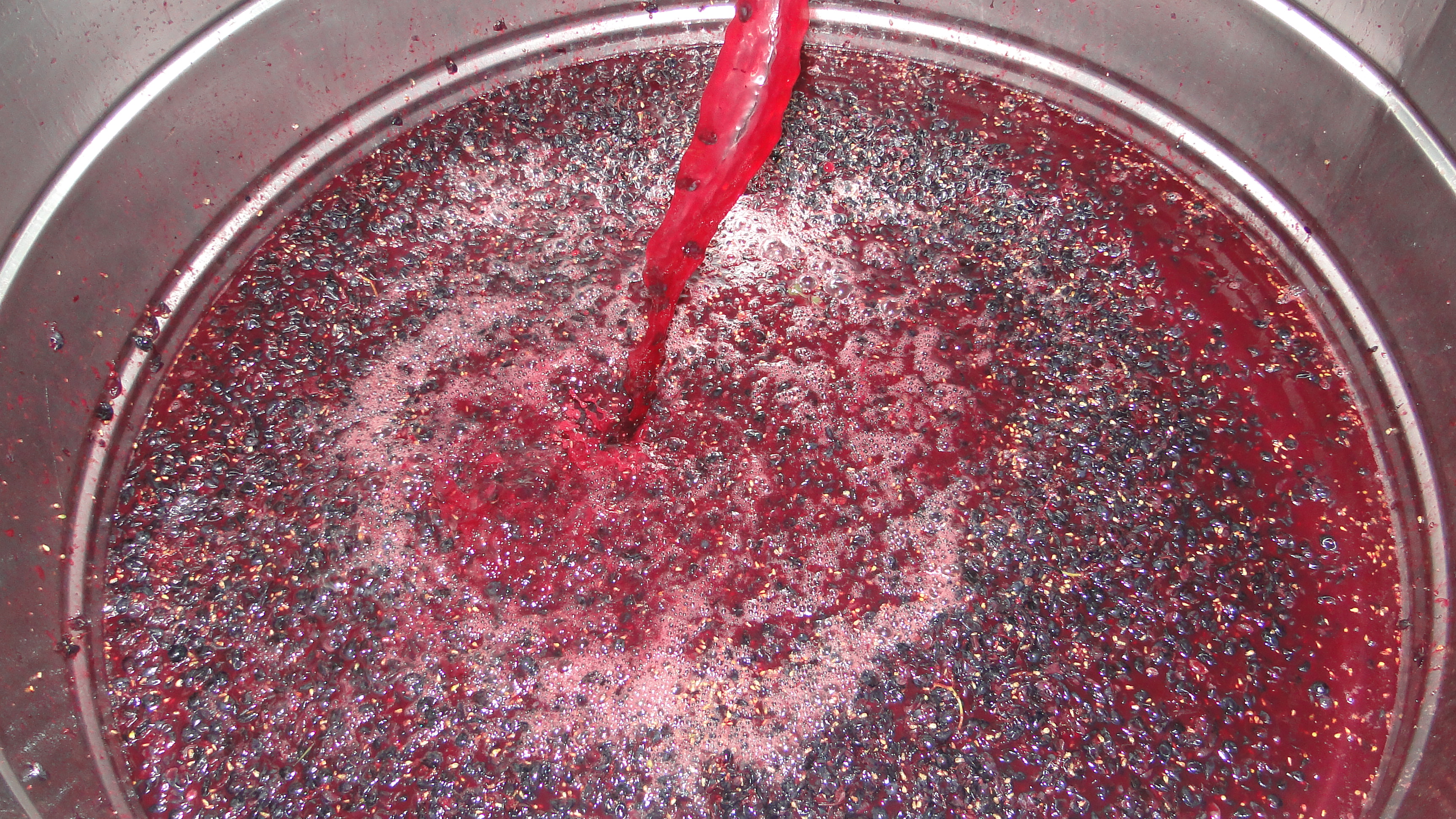 Clube do Vinho Artesanal - Vinho Caseiro: Guia Completo para Produzir o ...
